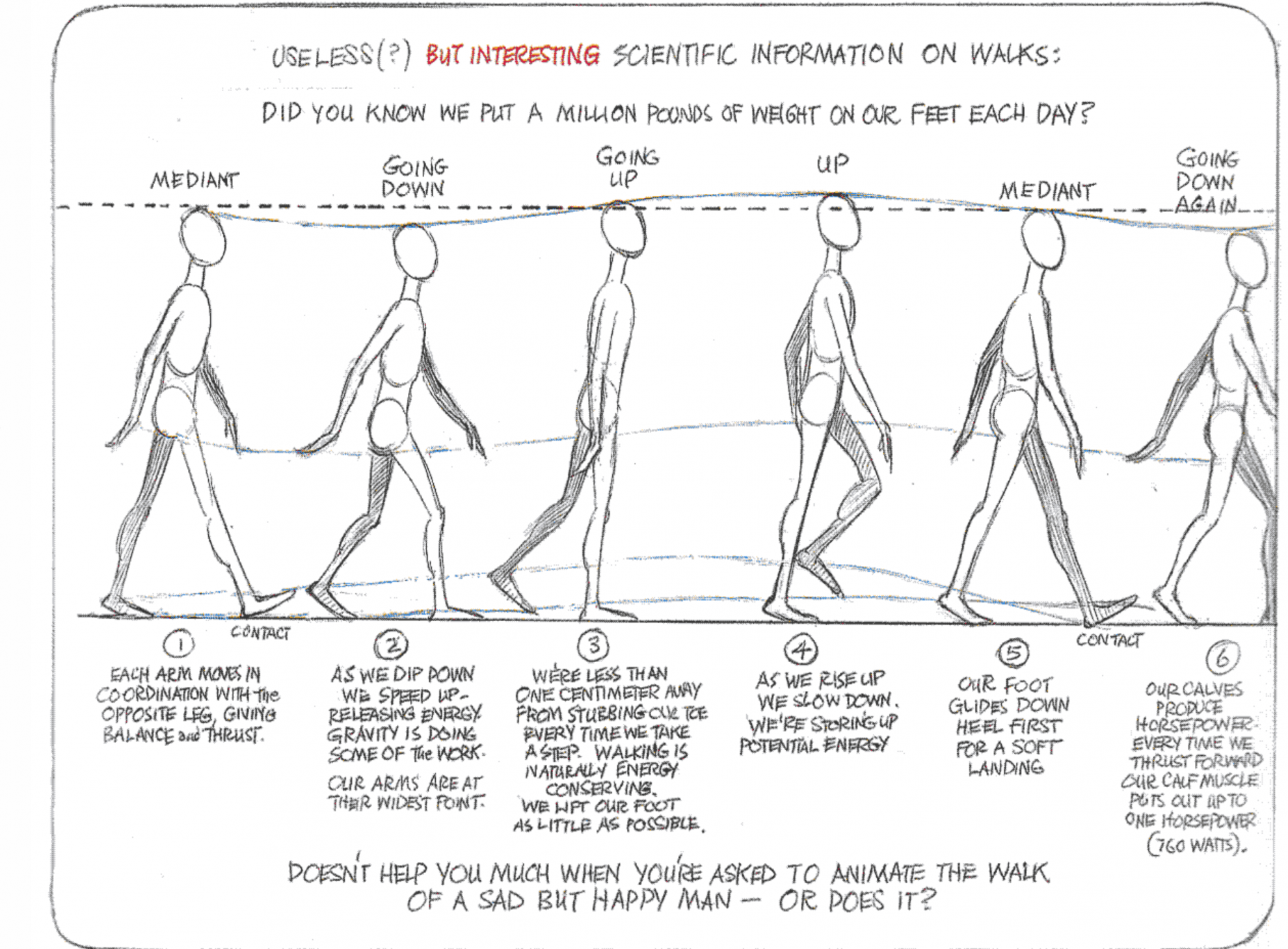 Week 7: Polishing my Walk cycle – Yolanda's Blog